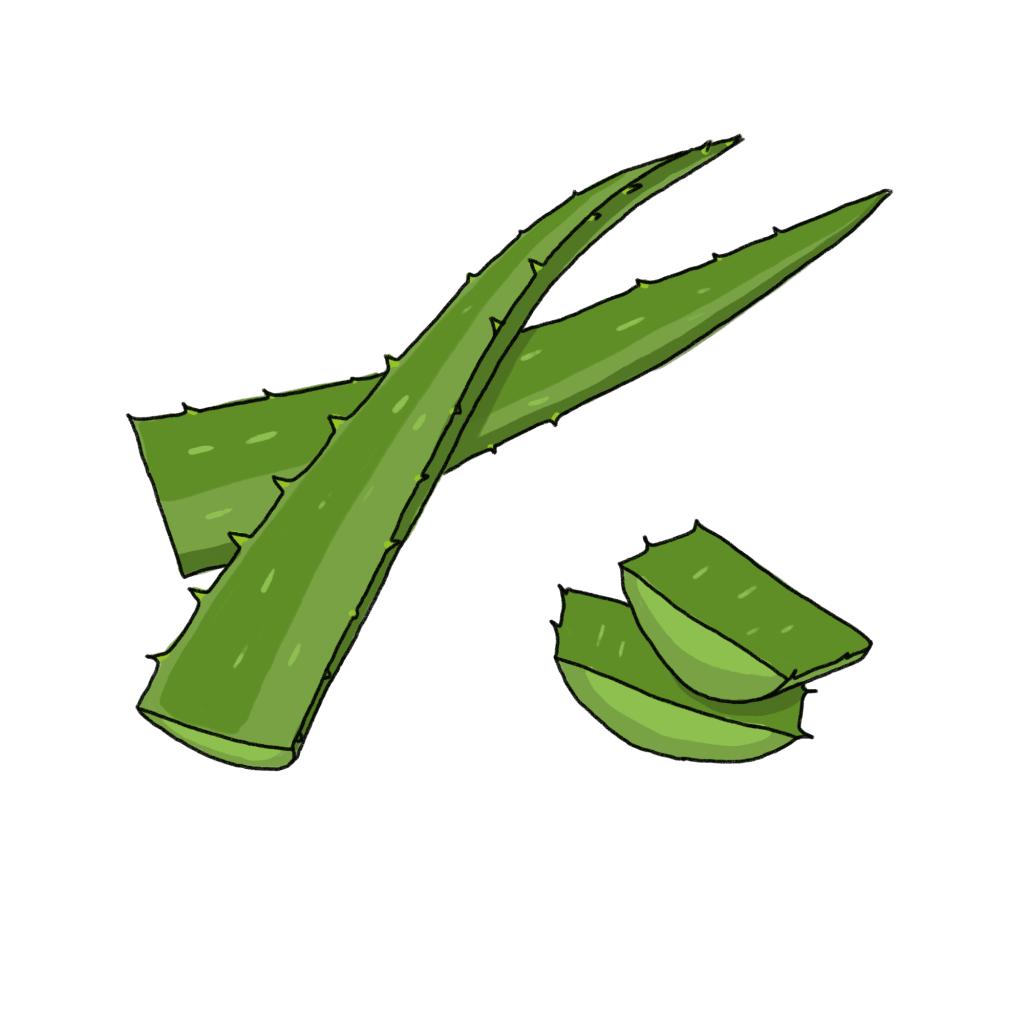  02 GreenStock40